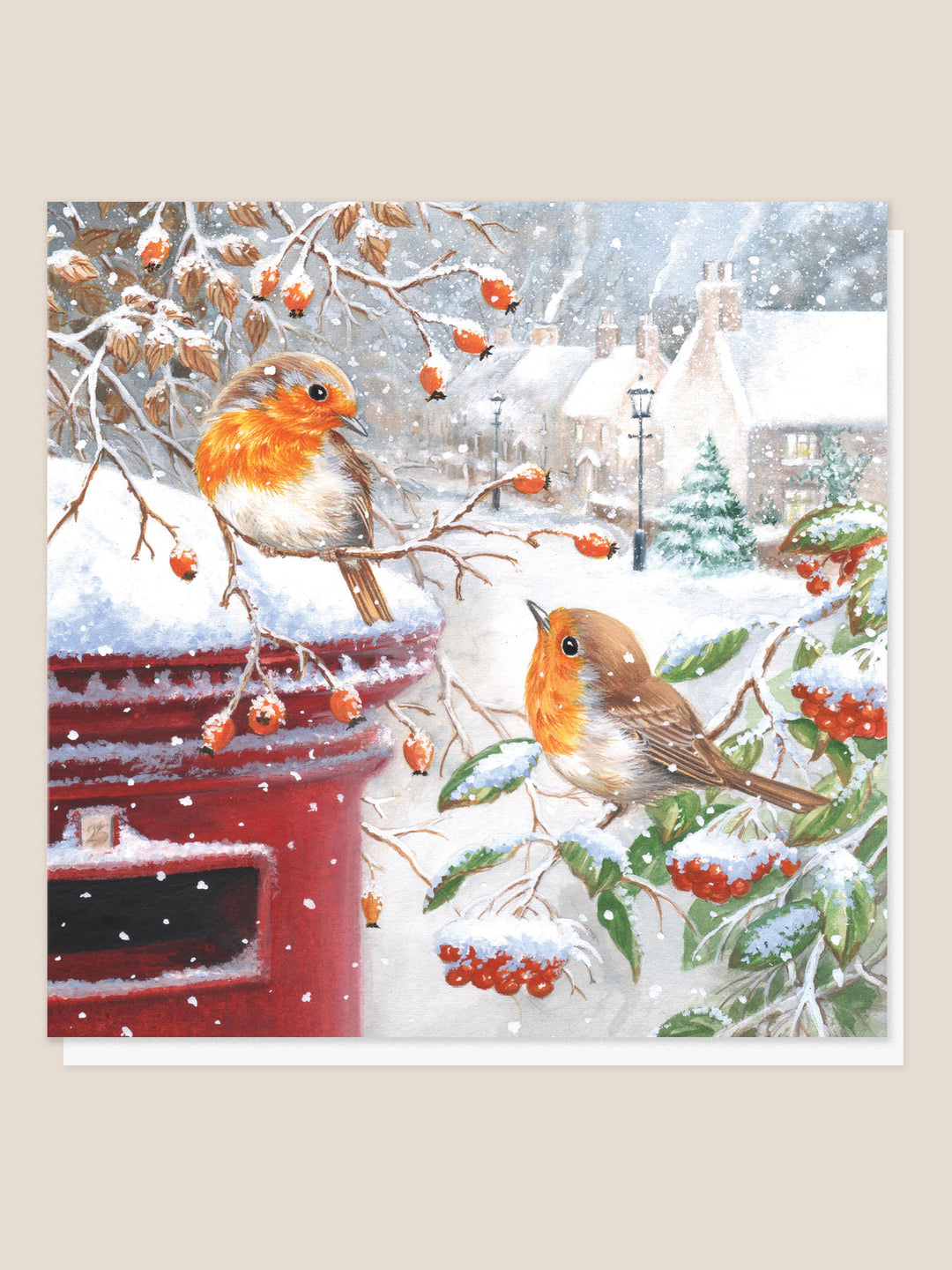 Robin christmas card store